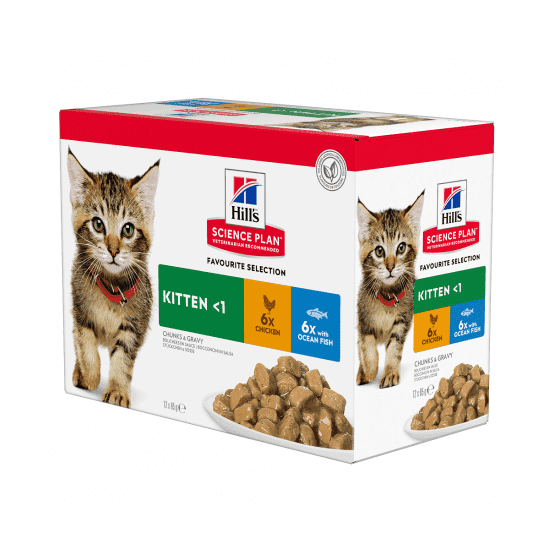 Feline Kitten Pack Mixte Sachet repas