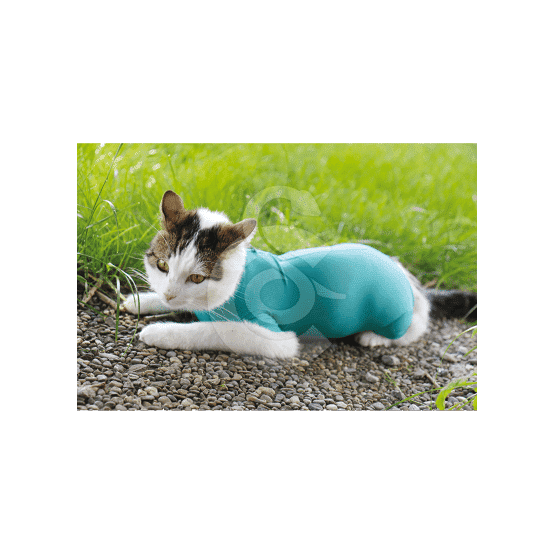 Gilet CatBody VetMedCare pour chat