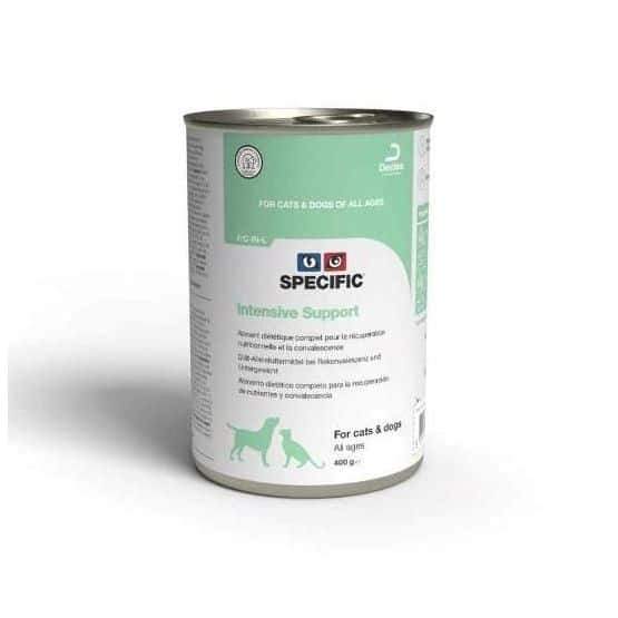 Specific F/C IN-L Intensive Support