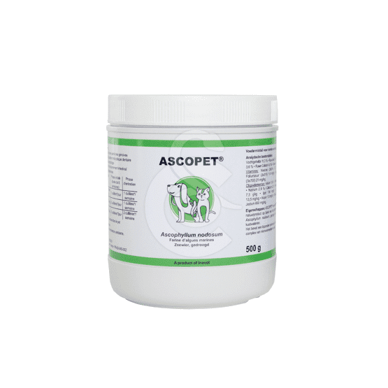 Système digestif (2)