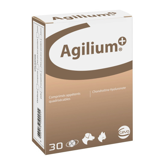 Agilium + - placedesvetos.com