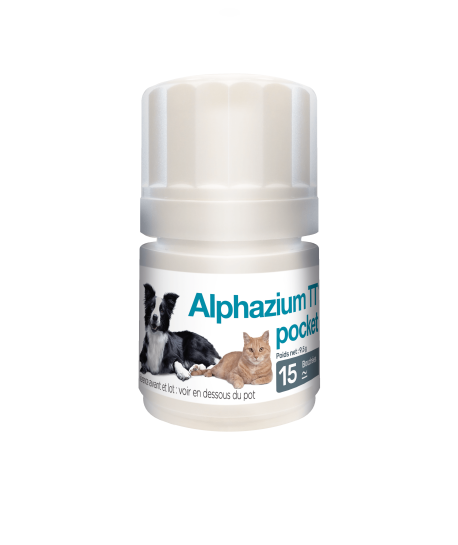 Alphazium TT - placedesvetos.com