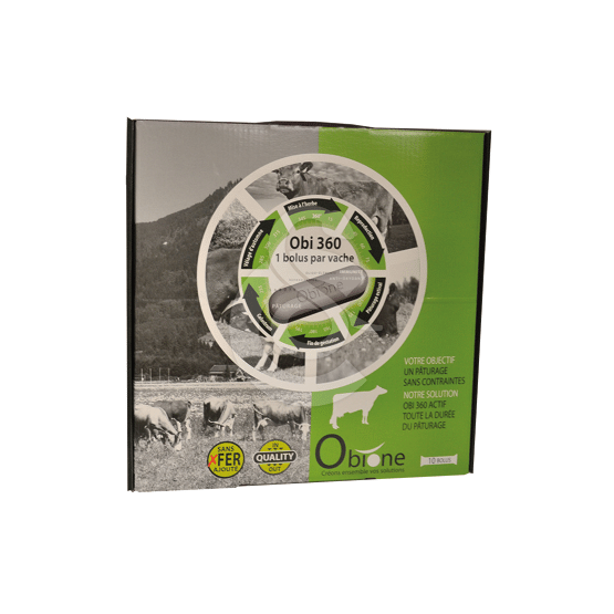 Obi 360 - placedesvetos.com