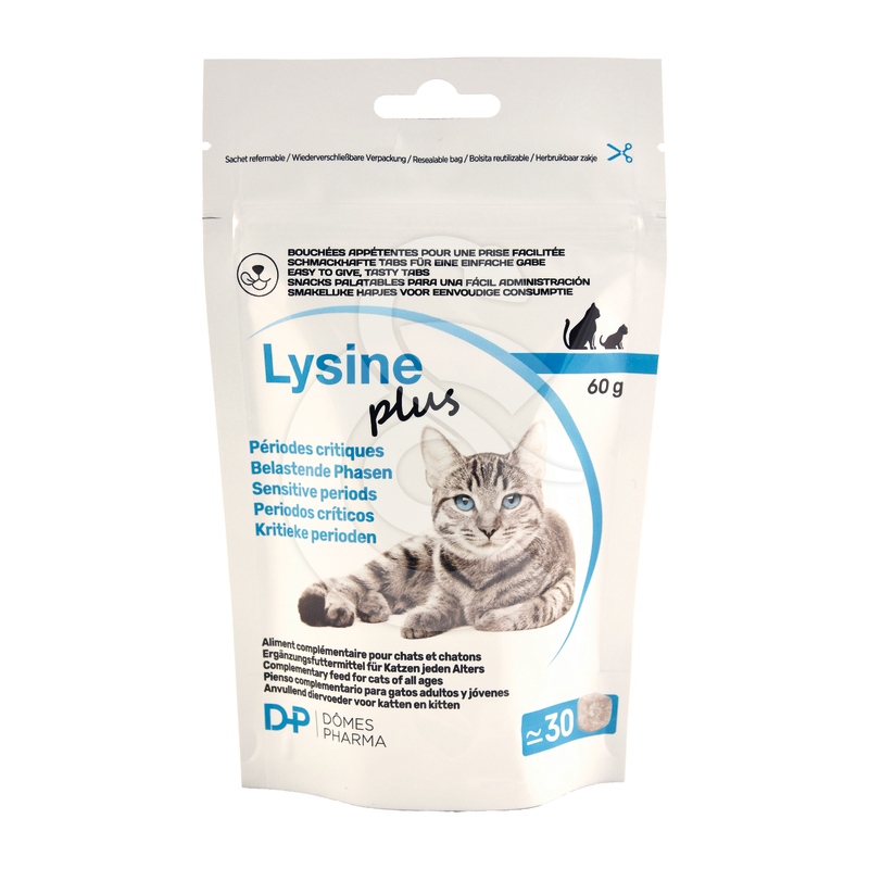 Lysine Plus