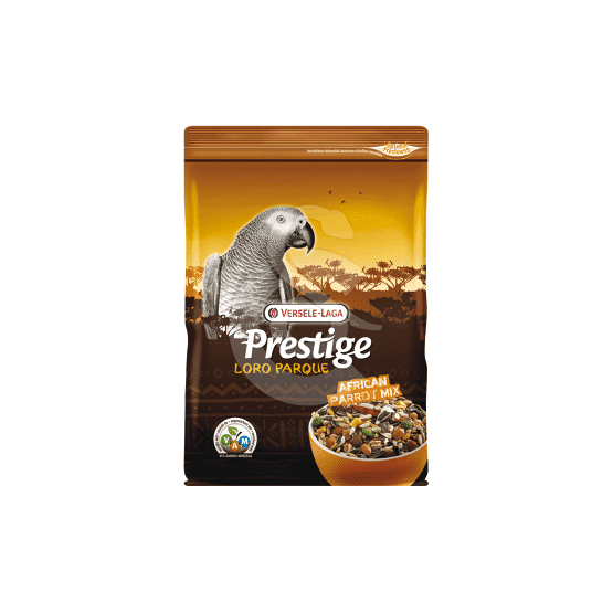 Premium African Perroquets Loro Parque Mix - placedesvetos.com