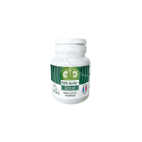 Sum Renal + chien et chat 60 gélules - placedesvetos.com
