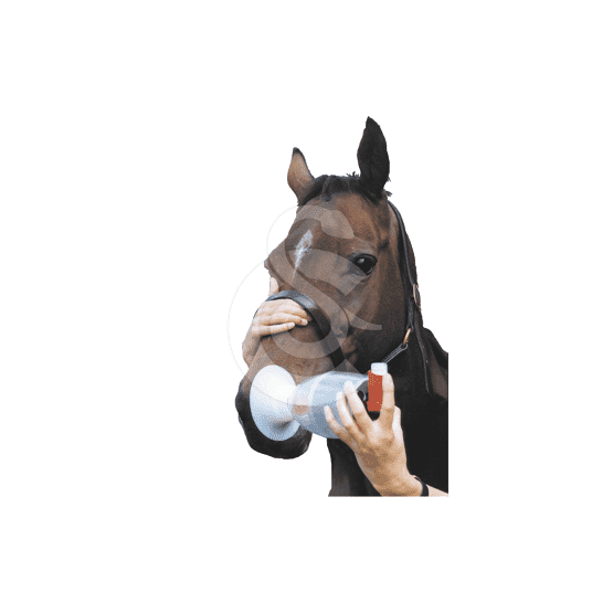 Aérosol Equine Haler pour inhalation - placedesvetos.com