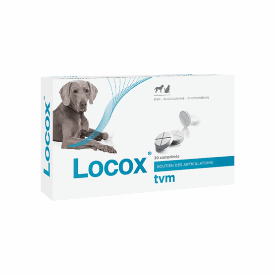 Locox - placedesvetos.com
