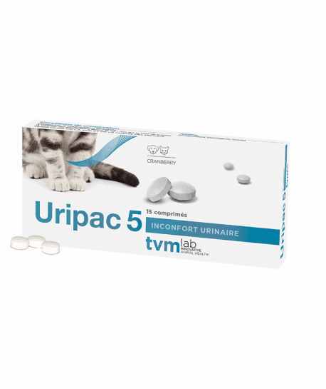 Troubles urinaires (2)