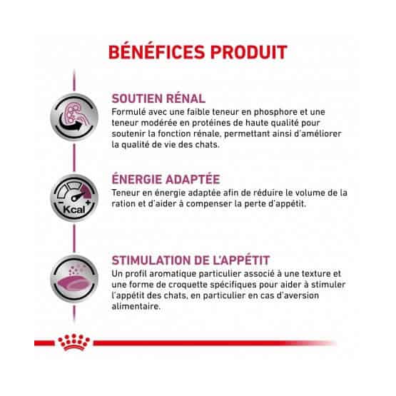 Royal Canin Cat Renal Select - www.placedesvetos.fr