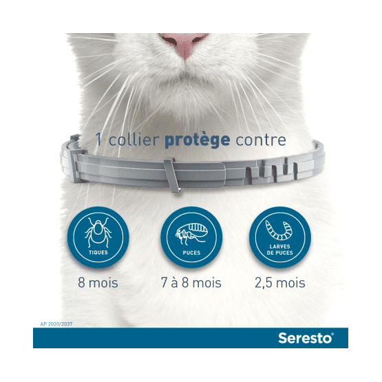 Seresto Collier Antiparasitaire Chat - placedesvetos.com