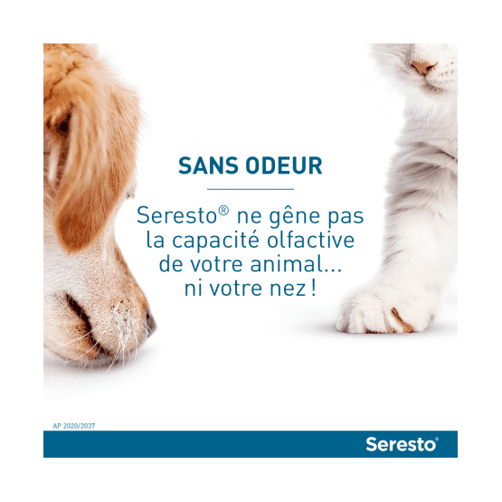 Seresto Collier Antiparasitaire Chat - placedesvetos.com